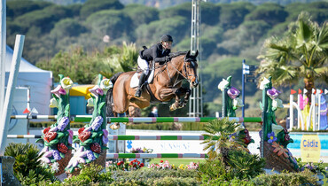 Equestrian Sport | World of Showjumping