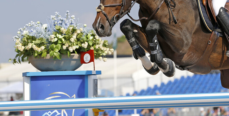 Equestrian Sport | World of Showjumping